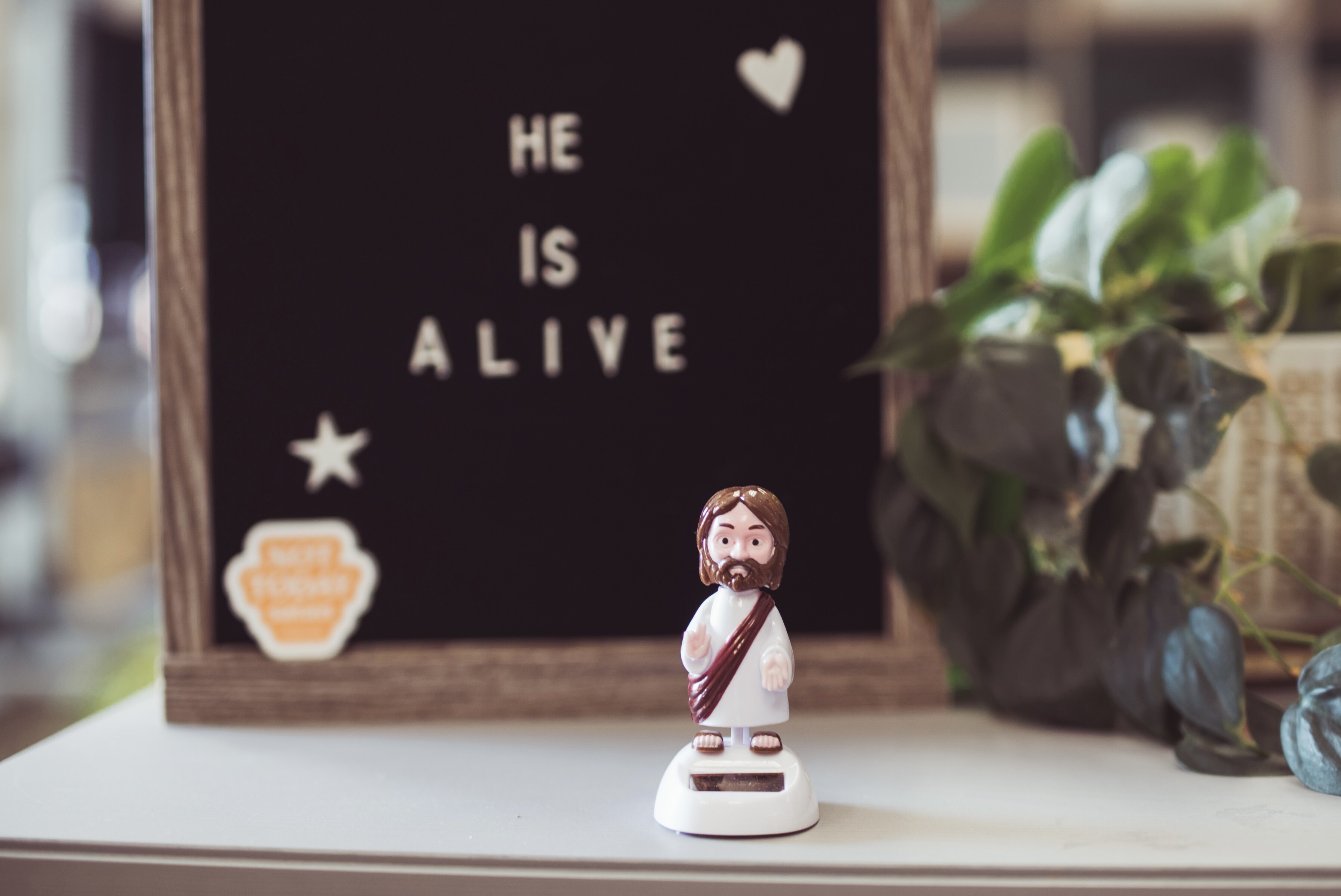 Share Your Questions